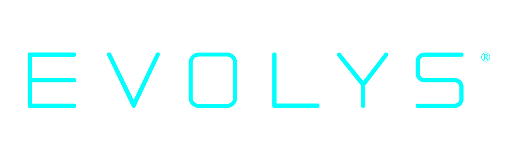 Evolys – Scale Project
